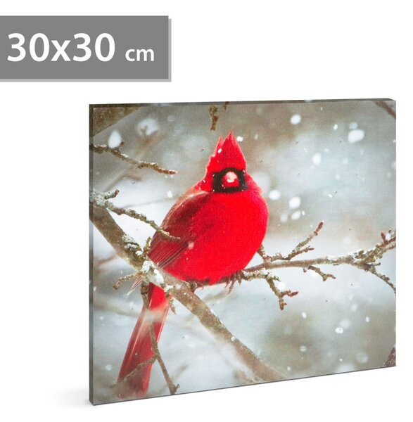 Family 58478 LED-es fali kép - vörös pinty - 30 x 30 cm | FAVI.hu