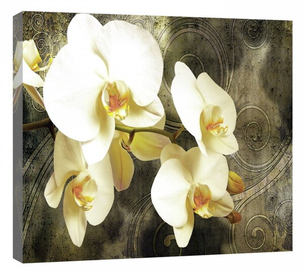 Orchidea, vászonkép, 60x40 cm méretben | FAVI.hu