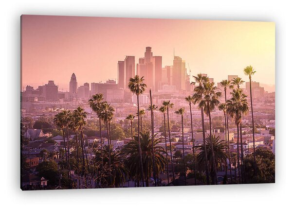 Beautiful sunset of Los Angeles downtown skyline and palm trees ...