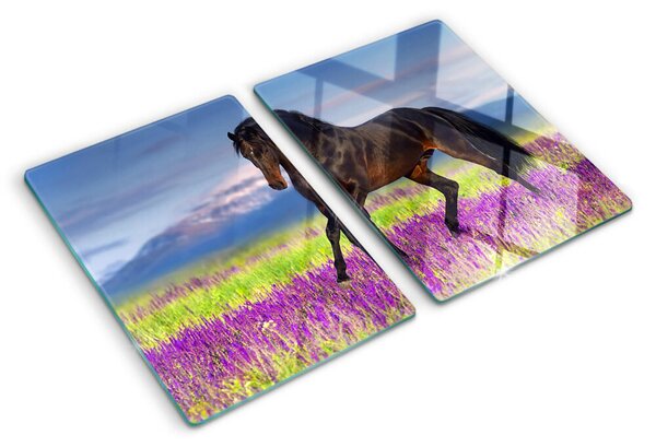 Üveg vágódeszka fényképpel Egy ló lila virágok hátterében | FAVI.hu