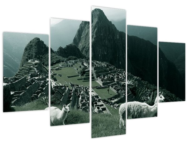 Kép - Lámák a perui Machu Picchunál (150x105 cm) | FAVI.hu