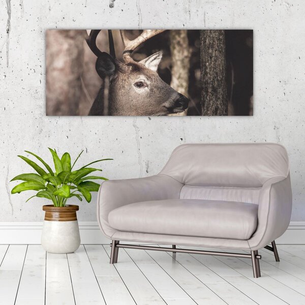 Kép - Szarvas az erdőben (120x50 cm) | FAVI.hu
